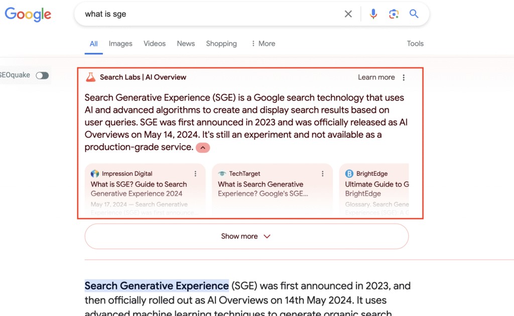 There's SGE In My SERP! - Karma Jack Digital Marketing Agency